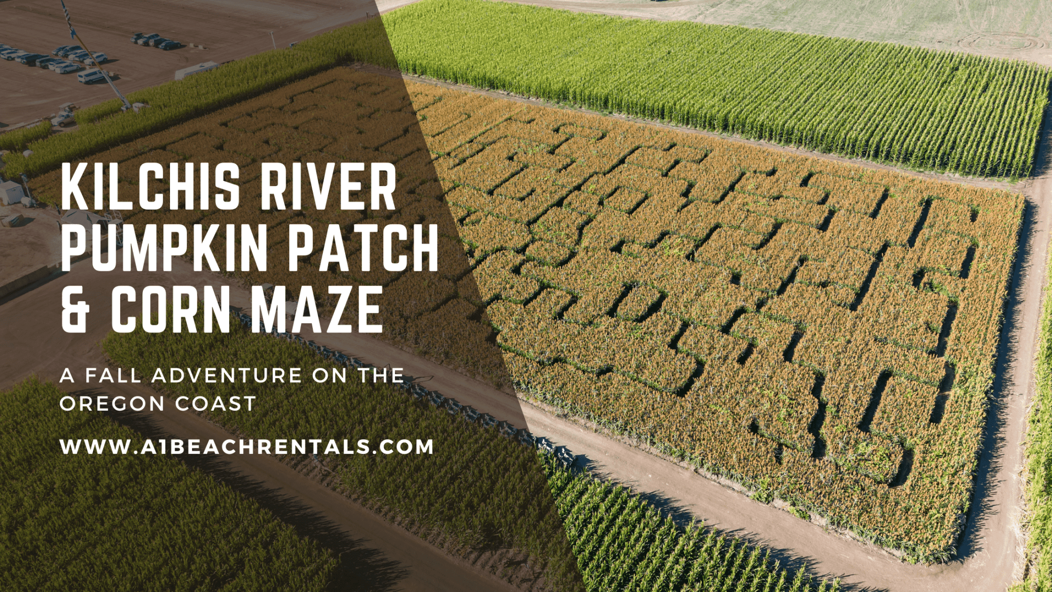 Kilchis River Pumpkin Patch & Corn Maze: A Fall Adventure on the Oregon ...